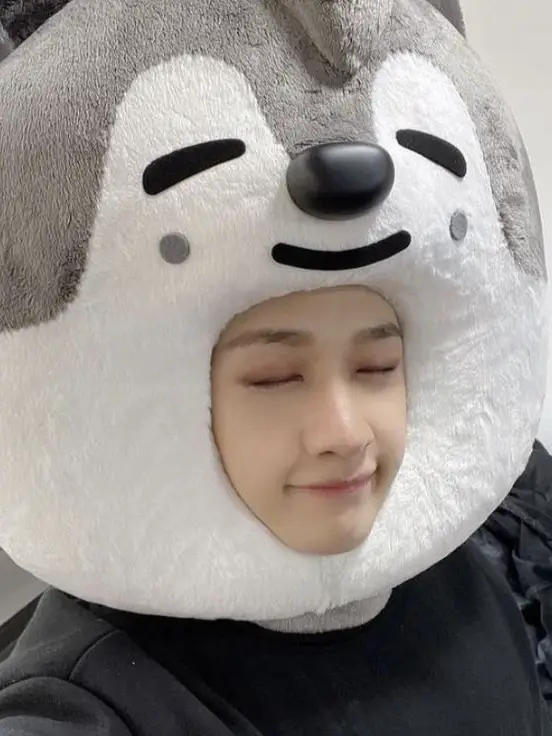 Best AI Chat Character ENHA x TXT x SKZ x ATEEZ: Explore Profiles ...