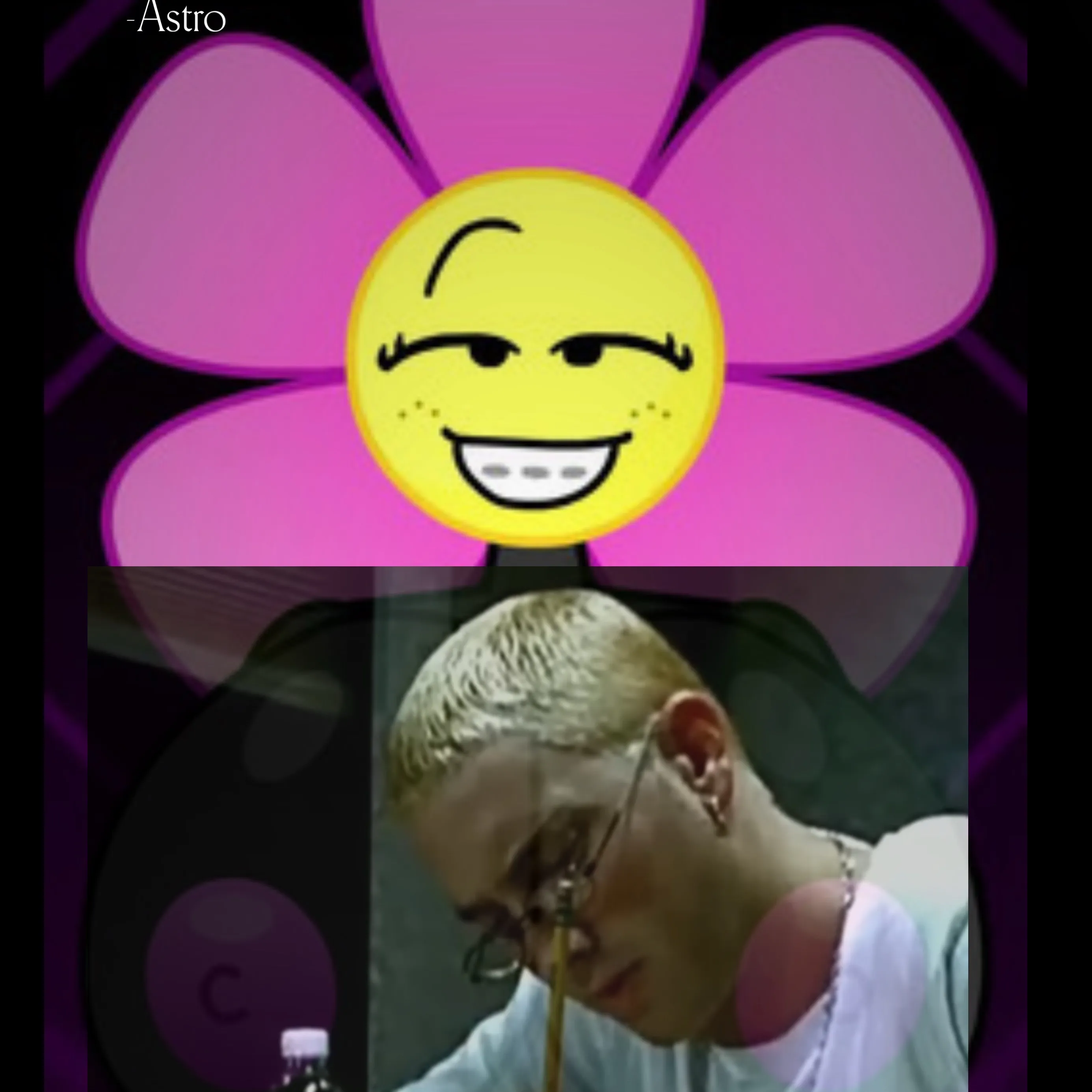 Best AI Chat Character Flower -BFDI -BFB: Explore Profiles & User ...