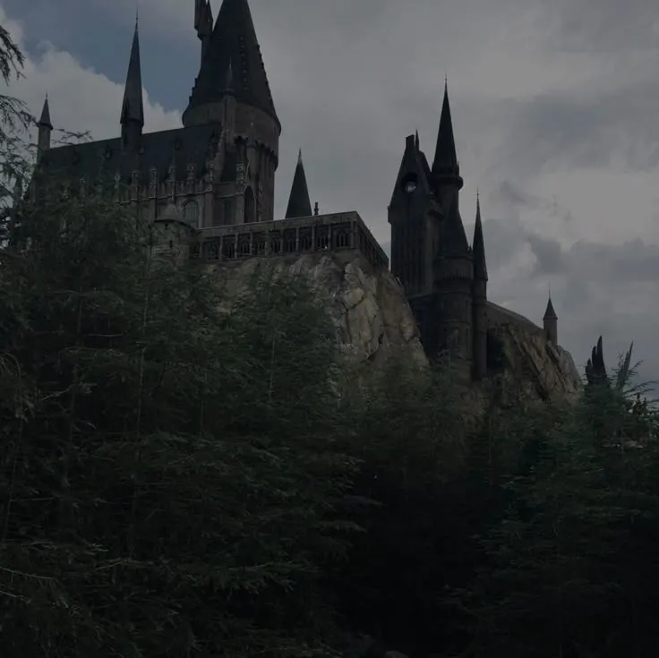 A‌I chat|1v1 Chat with Character Hogwarts Legacy-Harry Potter for Free ...