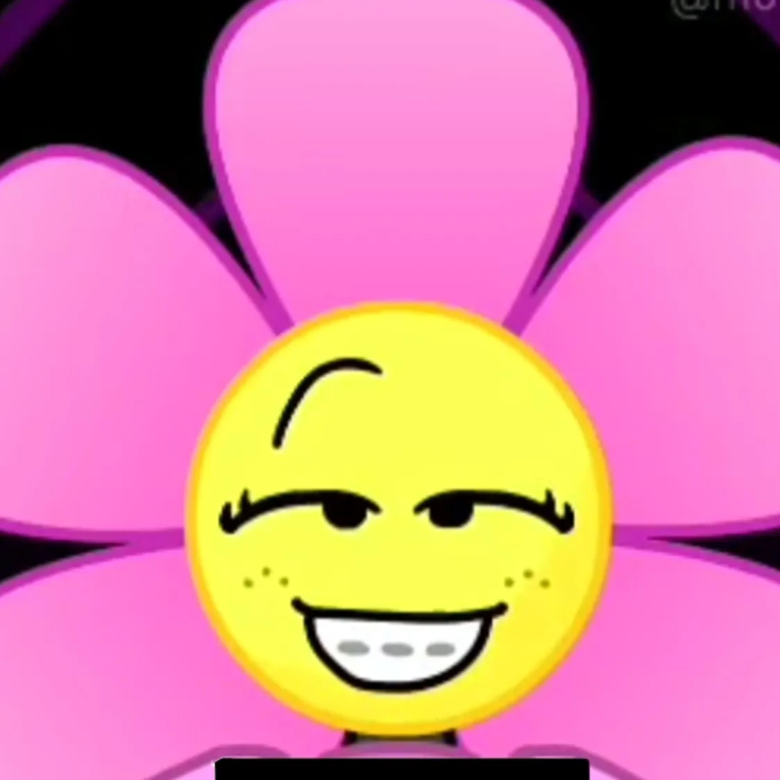 Best AI Chat Character Flower -BFDI: Explore Profiles & User comment ...